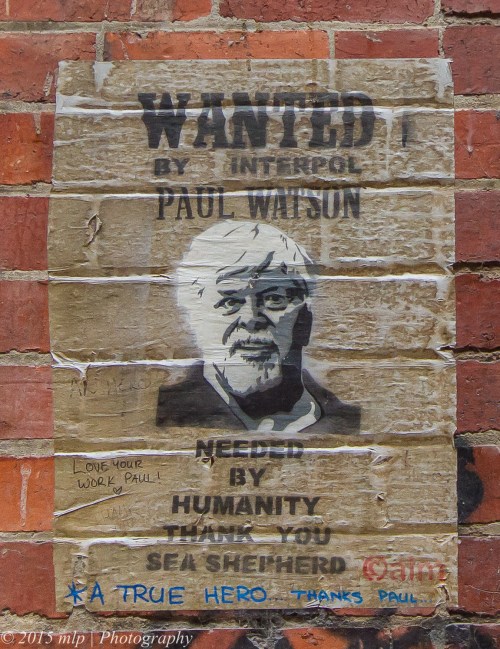 Protest and Statement Street Art | The Gap Year and Beyond