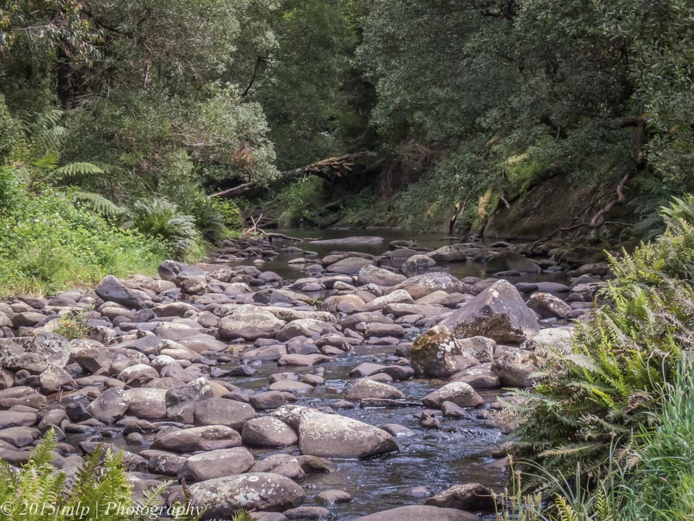 Bowerbirds at the Falls | The Gap Year and Beyond