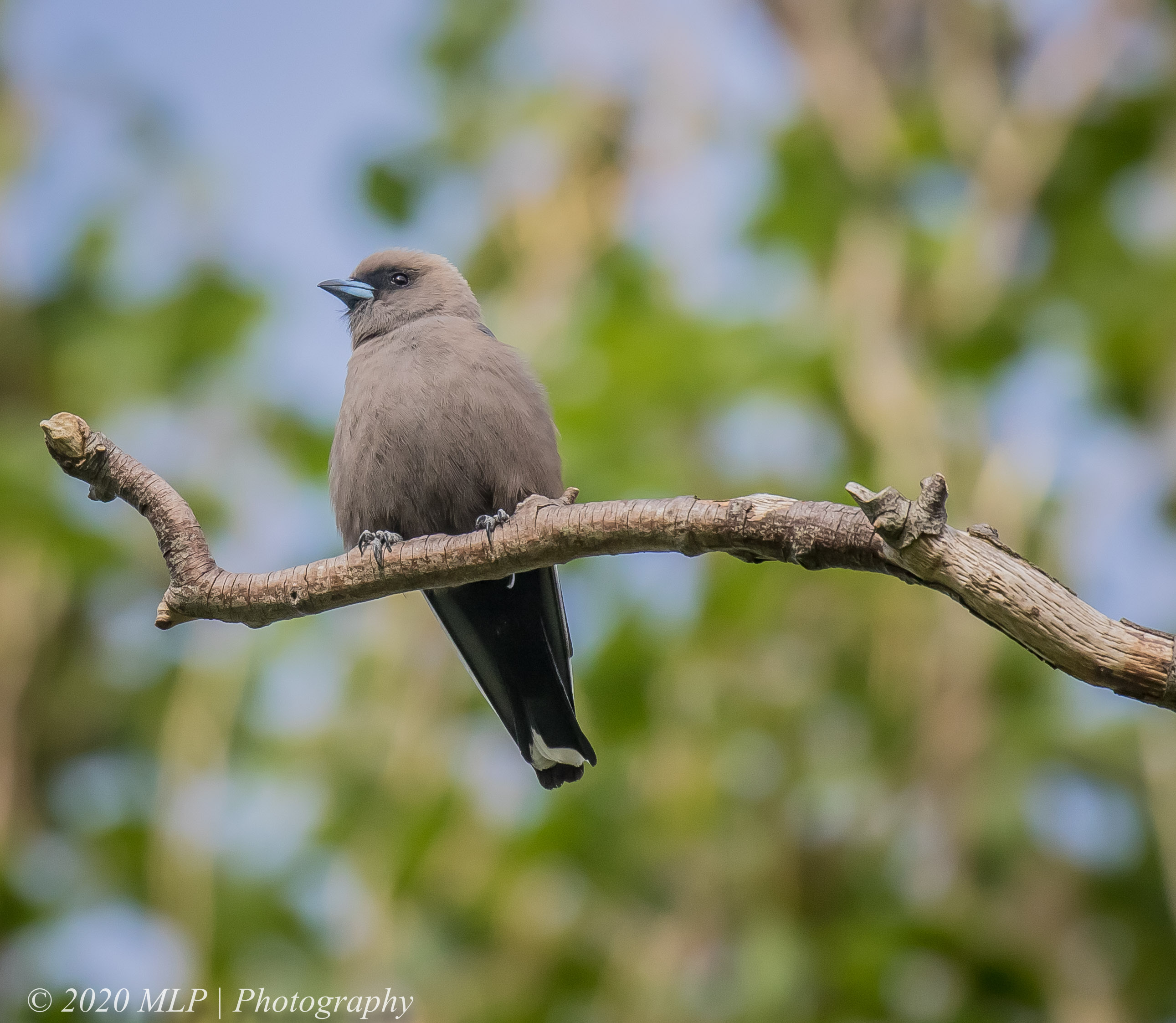 Willowind | The Gap Year and Beyond